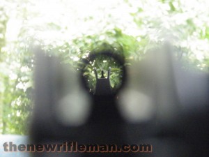 Sight Radius, Iron Sight Aperture, and Target Fideility - The New Rifleman