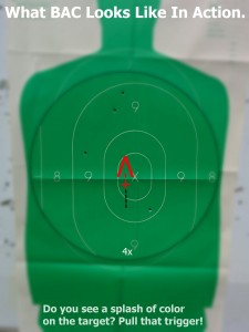 A Rifleman’s Guide to the ACOG - The New Rifleman