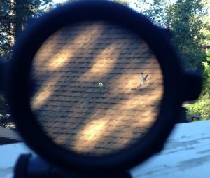 Riflemans Guide to the ACOG Part 2: Models, Ballistics, and Use - The ...