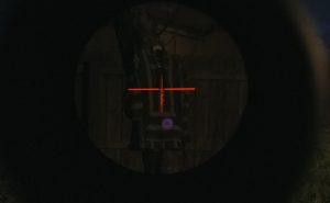 A Rifleman’s Guide to the ACOG - The New Rifleman