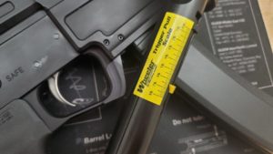 Palmetto State Armory ARV 9mm Review - The New Rifleman